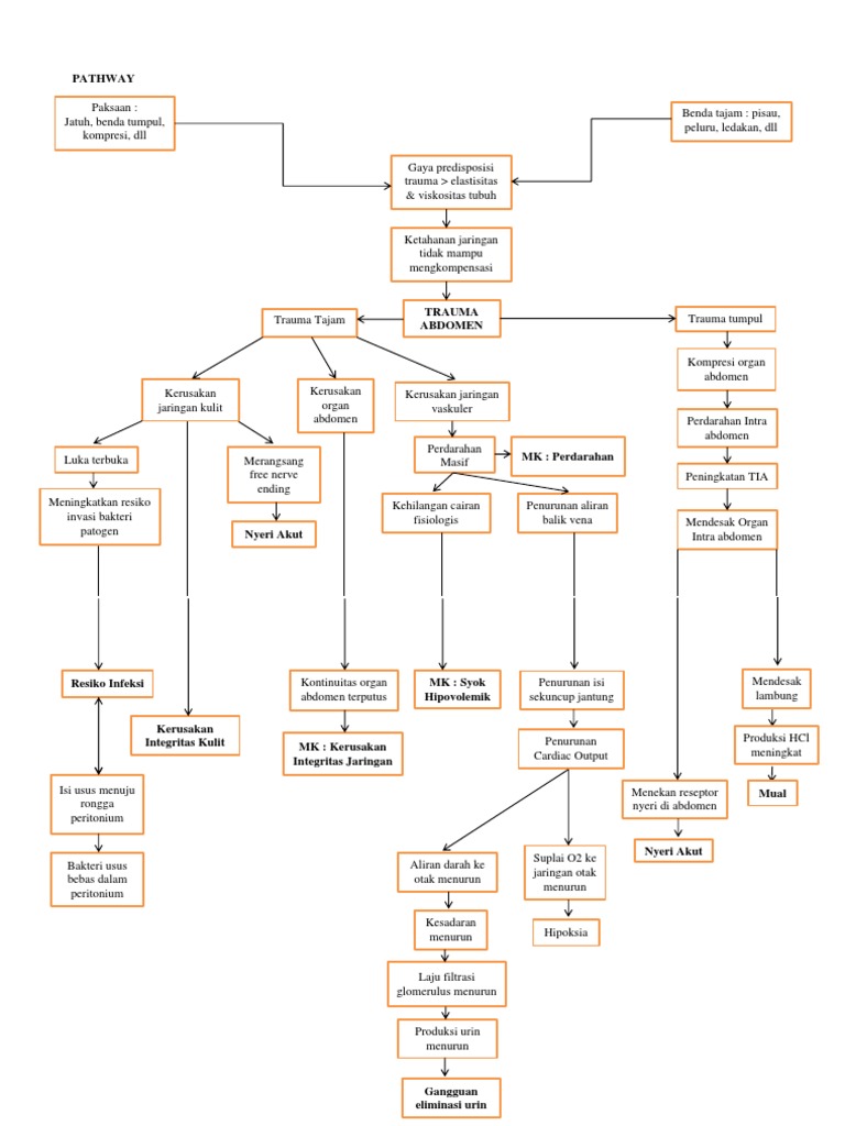 Pathway Trauma Tumpul Abdomen | PDF