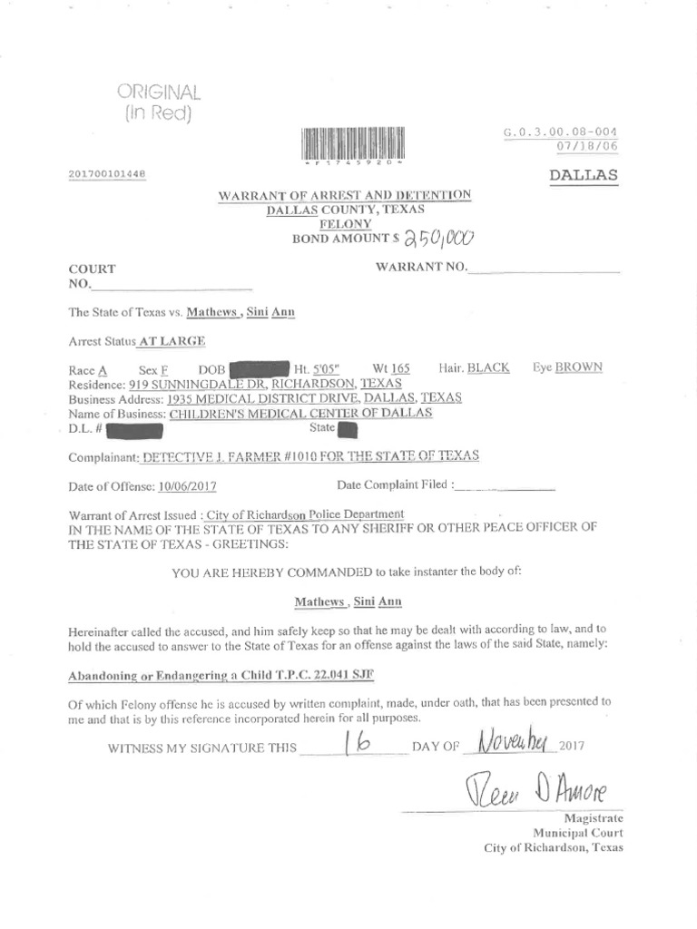 Sini Mathews Arrest Affidavit | PDF