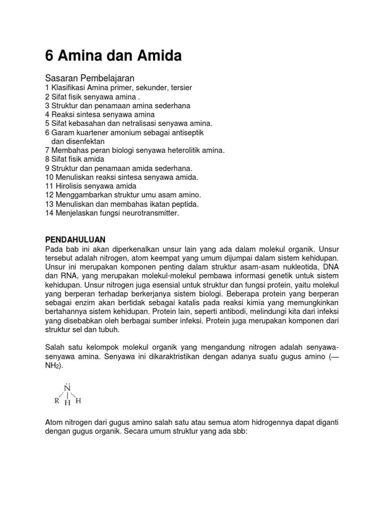Amina Dan Amida | PDF