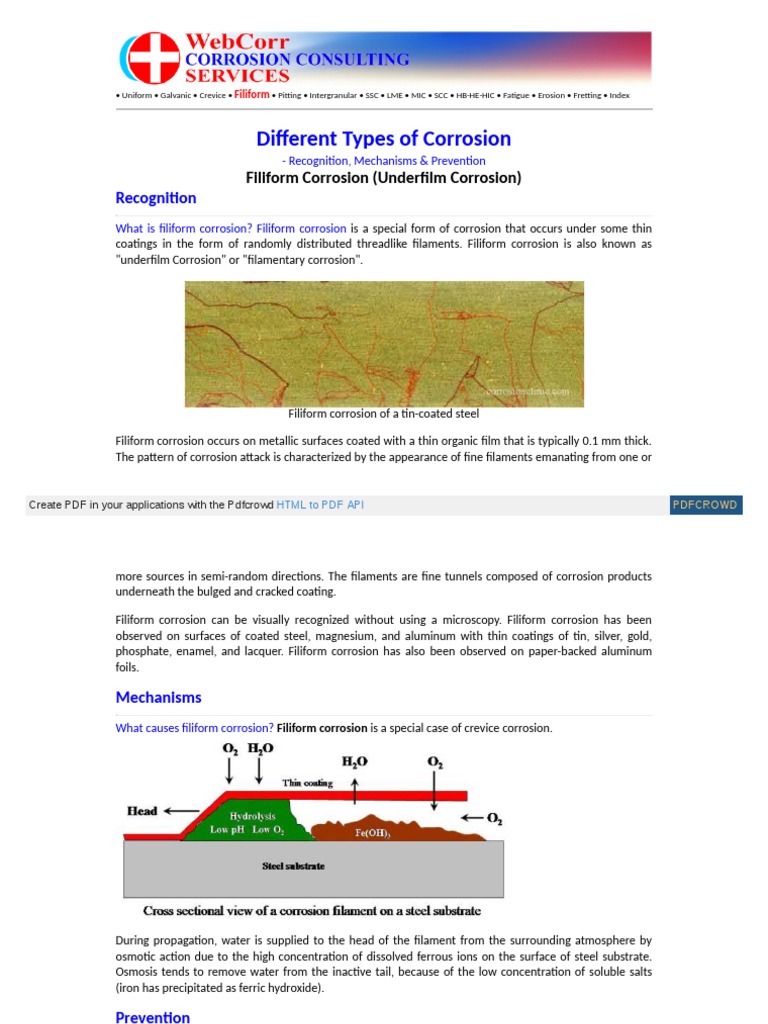 WWW Corrosionclinic Com Types of Corrosion Filiform Corrosio | PDF ...
