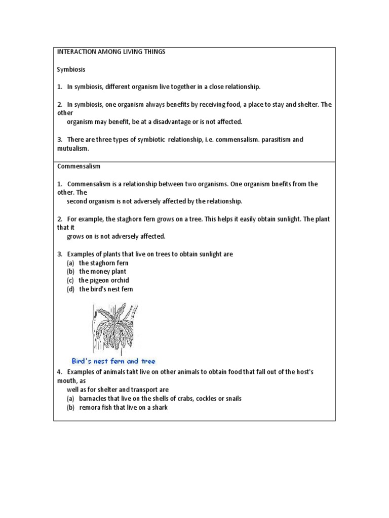 Interaction Among Living Things 2 | PDF