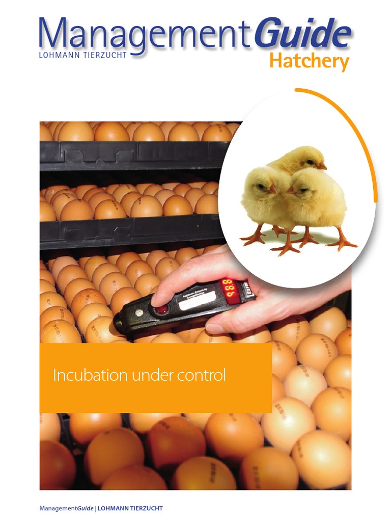 Hatchery Management Guide SEO | PDF | Humidity | Chicken