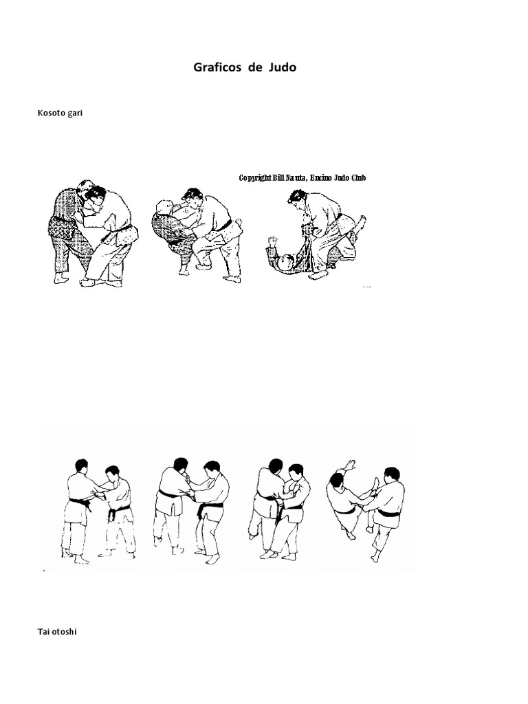 Judo Techniques and Grappling Moves | PDF