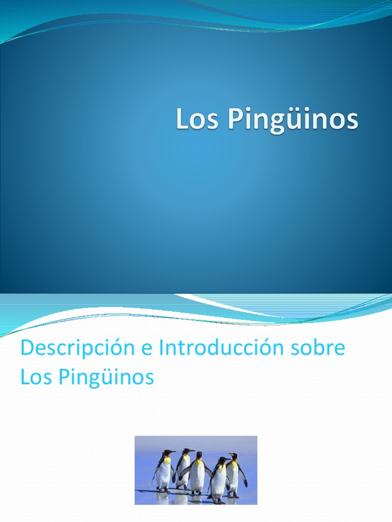 Los Pingüinos | PDF | Pingüino | Aves