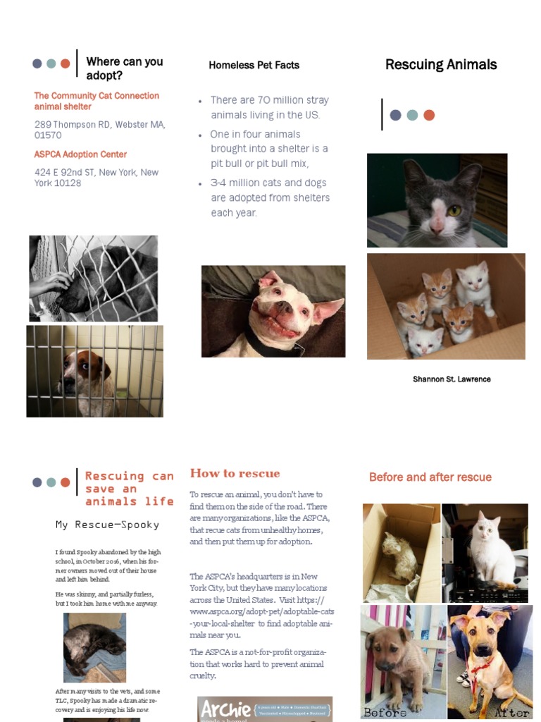 Rescue Animals Brochure | PDF