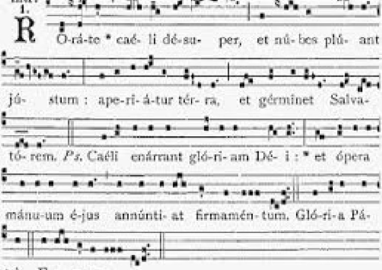 Rorate Caeli | PDF