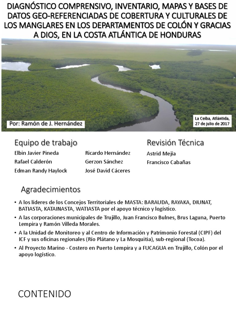 Diagnóstico de Manglares en Honduras | PDF | Mangle | Honduras