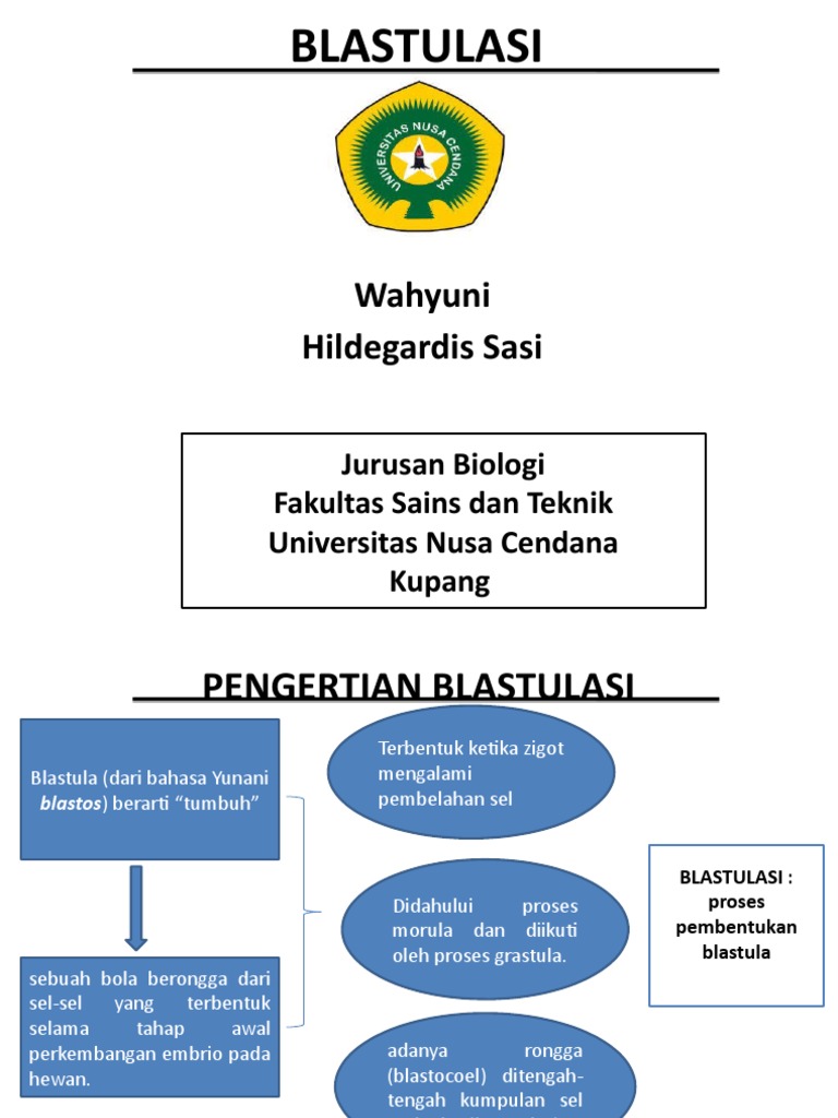 Proses dan Struktur Blastulasi Embrio | PDF
