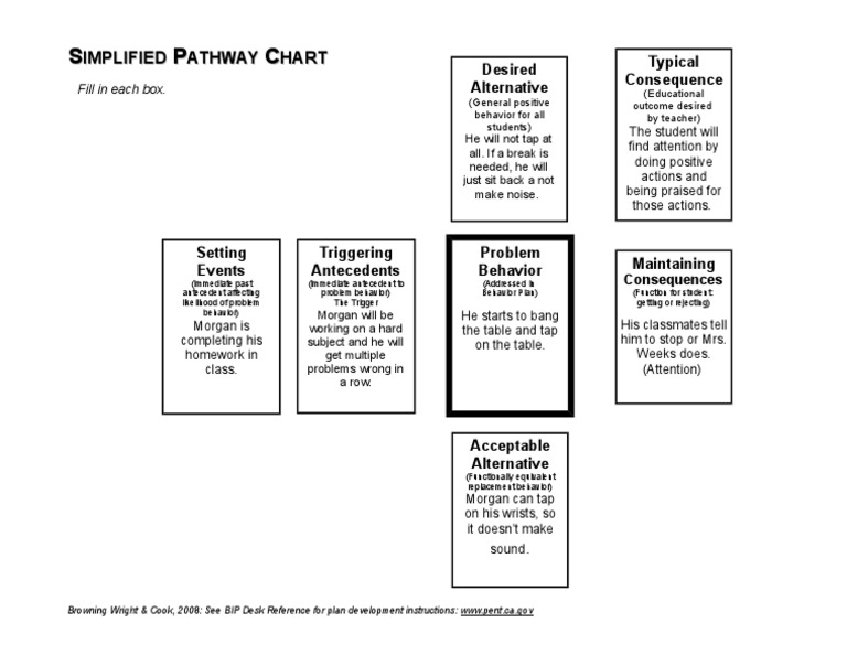 Morgan Pathway | PDF | Psychology | Behavioural Sciences