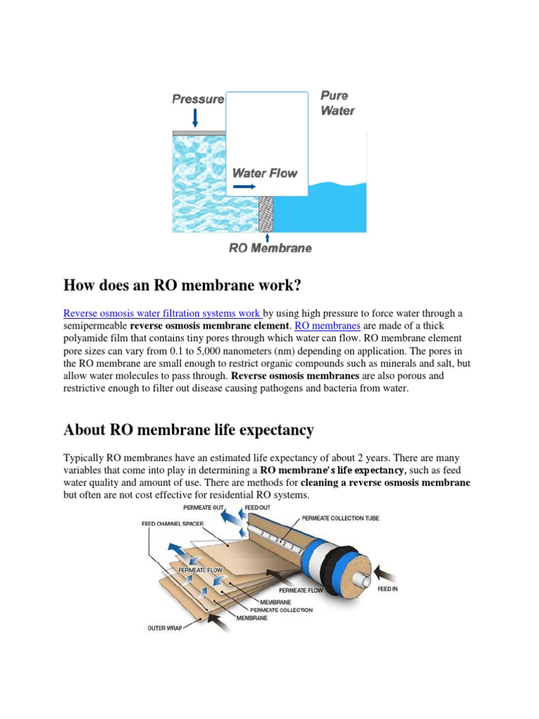 How Does An RO Membrane Work | PDF