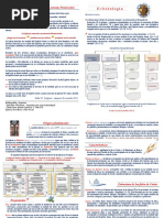 Infografia de Iglesia | PDF | Iglesia Católica | Organizaciones cristianas