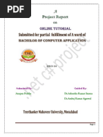 Sample Chapter 4 Capstone | PDF | Software Development | Usability