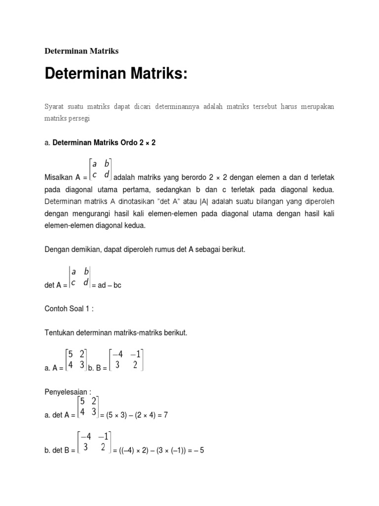 16+ Contoh Soal Tentang Determinan Matriks - Contoh Soal Terbaru