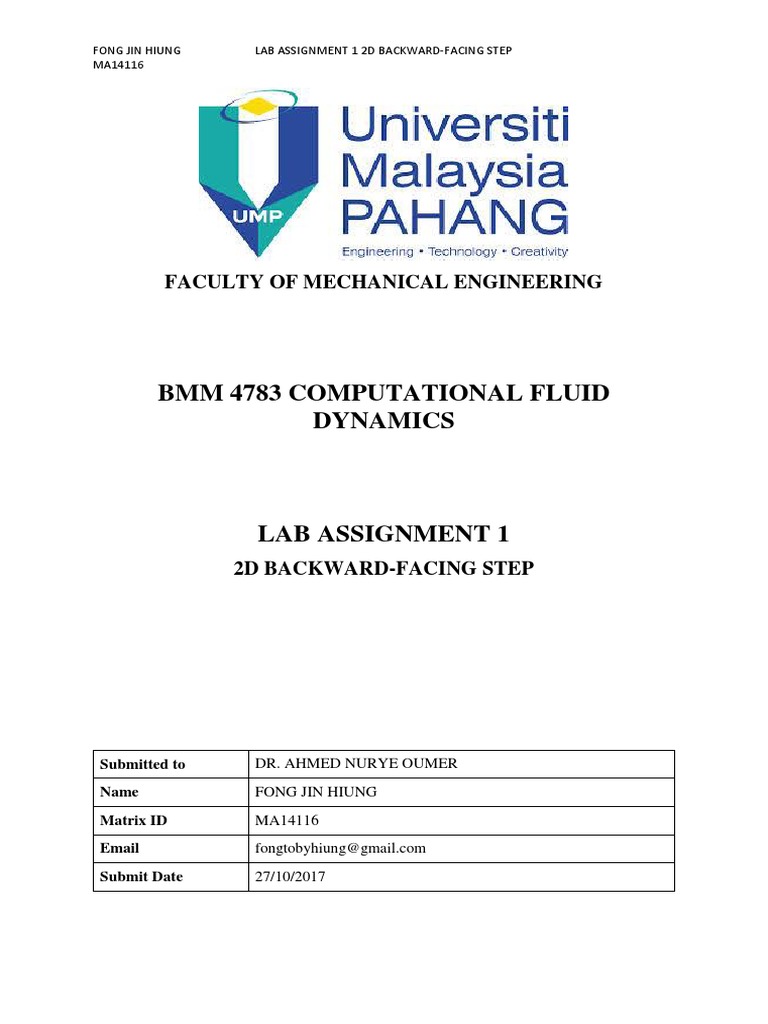 CFD Assignment | PDF | Computational Fluid Dynamics | Fluid Dynamics