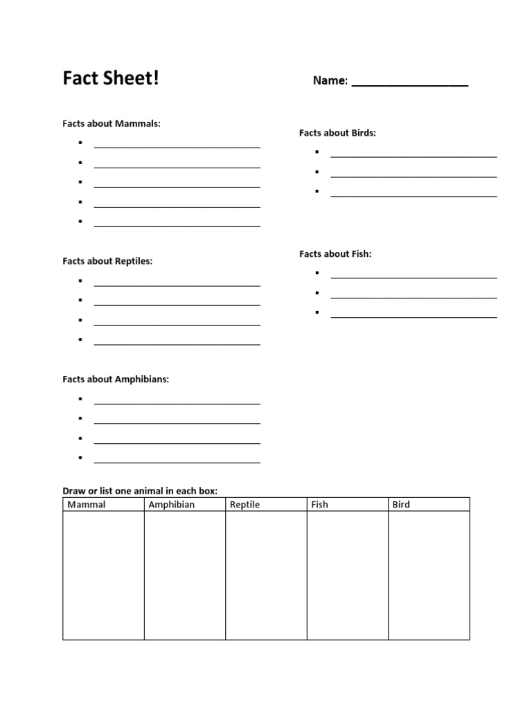 Lesson 3 Fact Sheet | PDF
