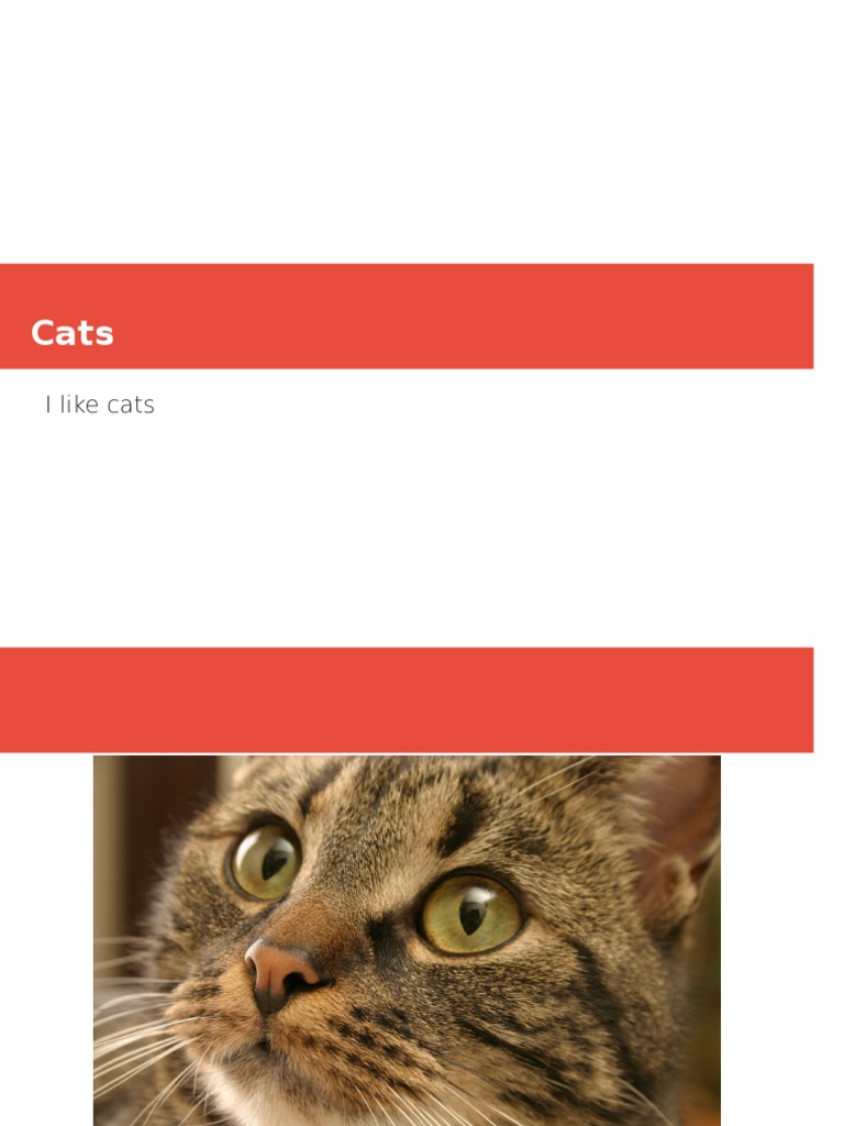 Cats | PDF