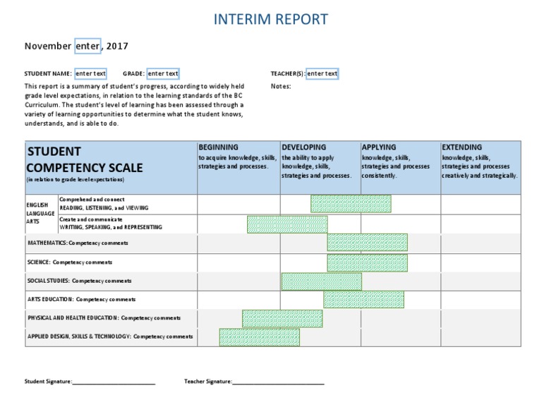 Interim Report - Template | PDF