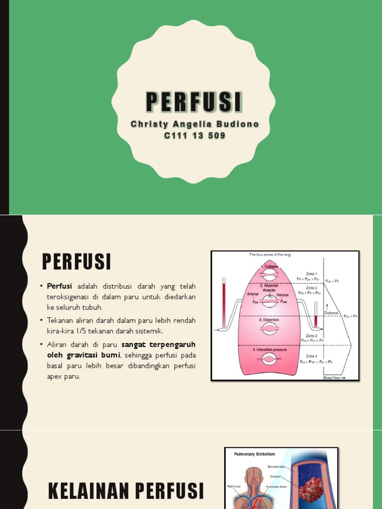 Perfusi | PDF