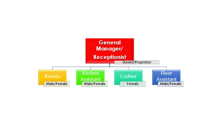 Organizational Chart for a Cafe Showing Job Roles and Gender ...