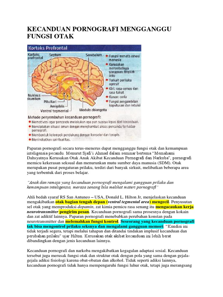 Dampak Pornografi pada Fungsi Otak | PDF