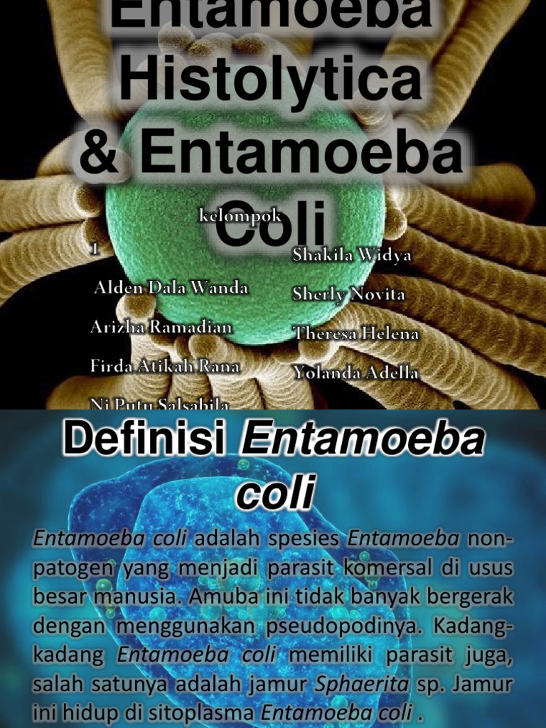 Perbandingan Entamoeba coli dan histolytica | PDF