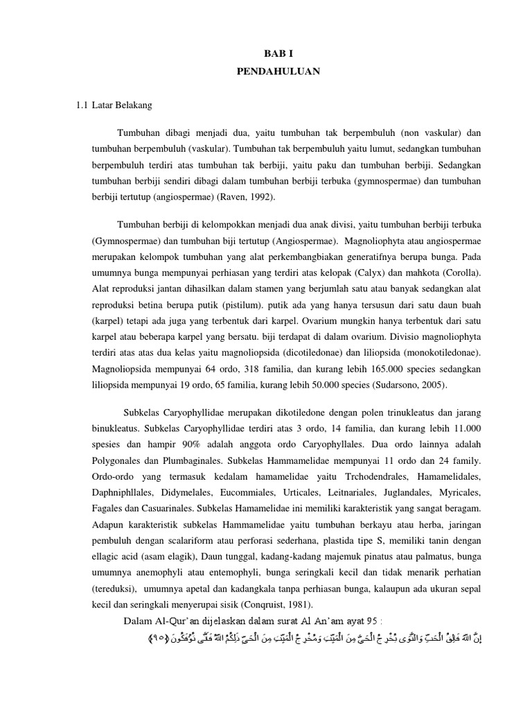 LAPORAN Caryophilidae Dan Hamamelidae | PDF | Griya & Taman