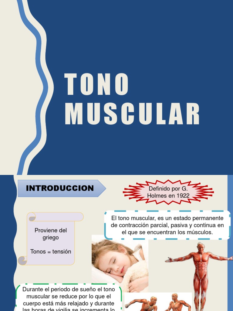 Tono | PDF | Músculo | Contracción muscular