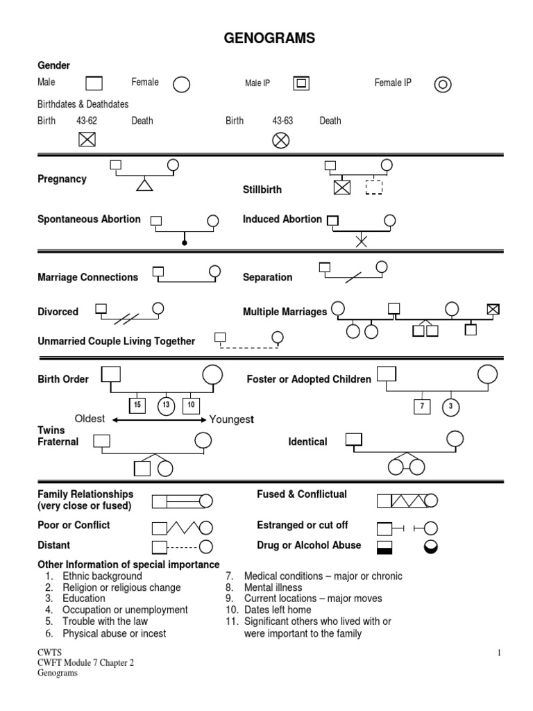 Genograms: Youngest Oldest | Download Free PDF | Substance Abuse | Marriage