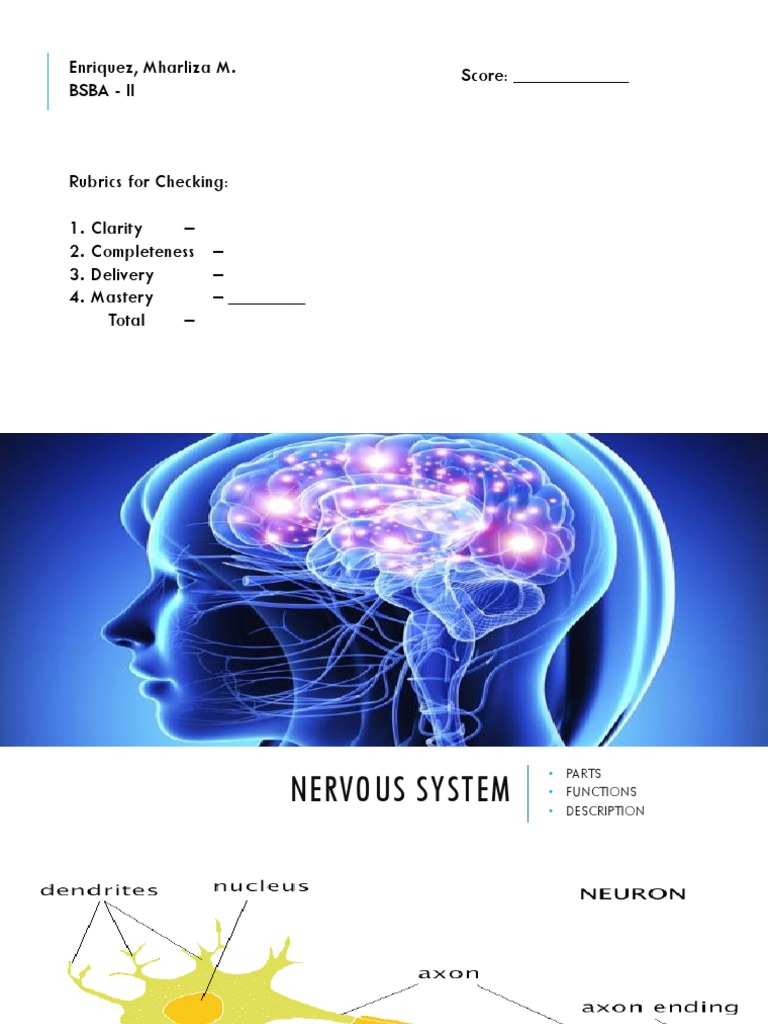 Genpsych - Nervous System | PDF | Brain | Nervous System