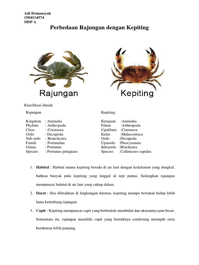 Perbedaan Rajungan Dengan Kepiting | PDF