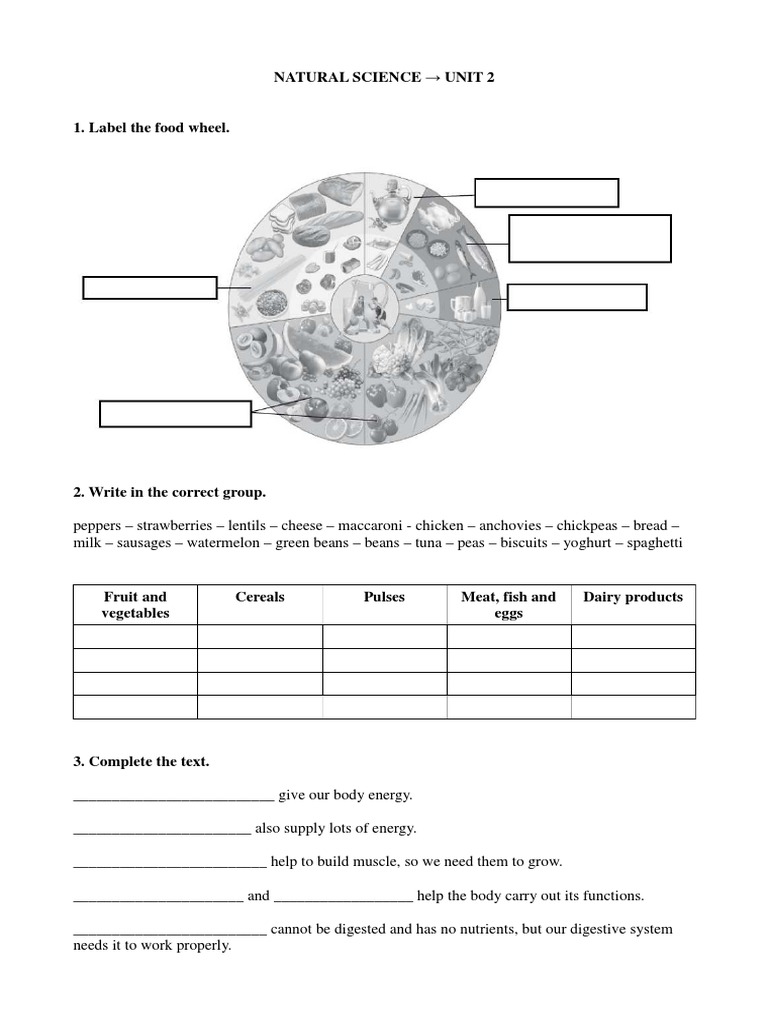 Natural Science 6 Primary Unit 2 PDF | PDF