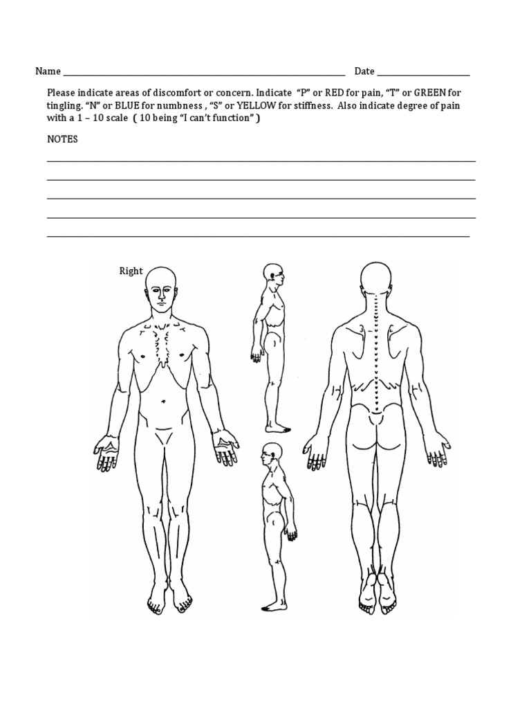 Body Pain Diagram | PDF