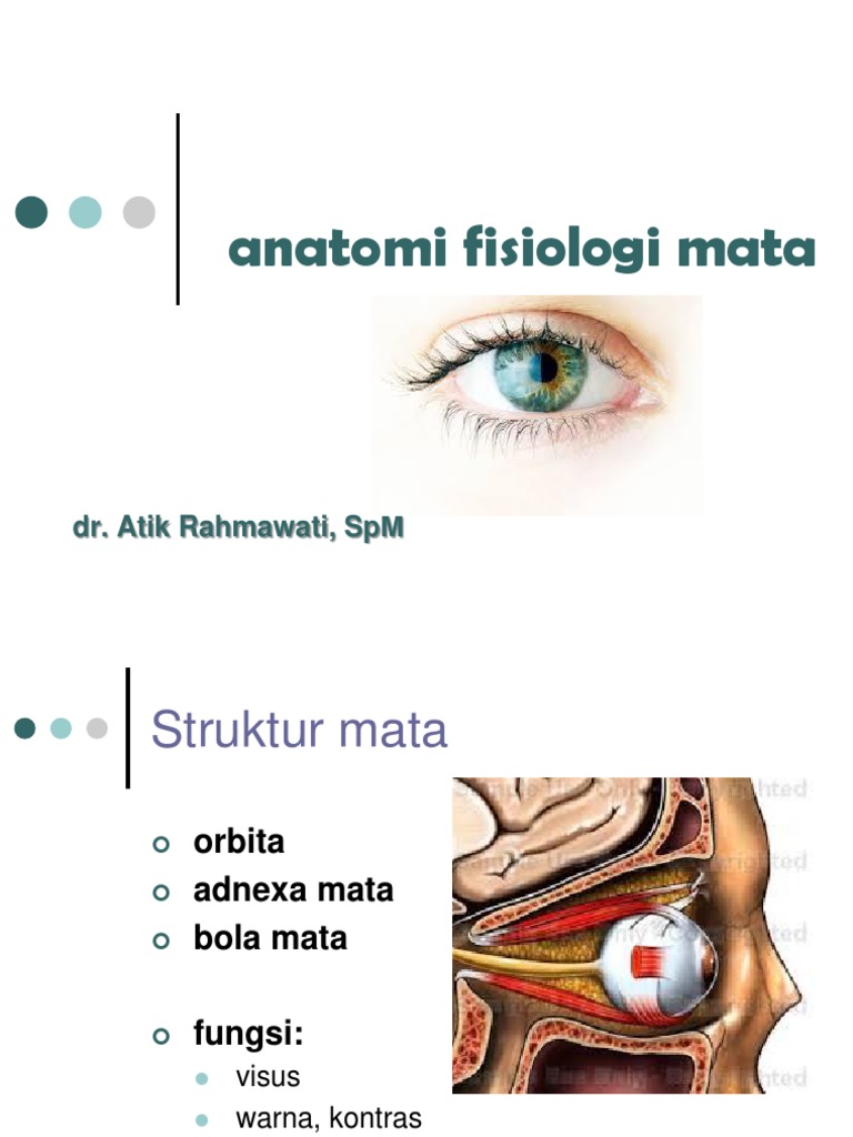 Anatomi Mata | PDF