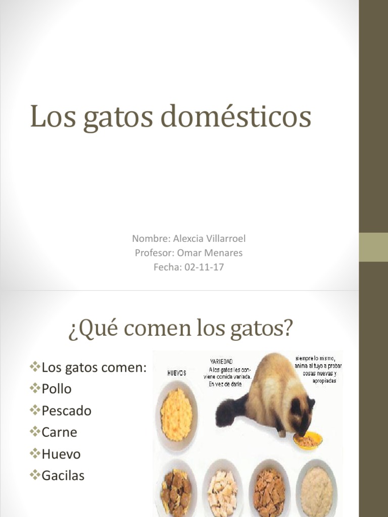 Los Gatos Domesticos | PDF