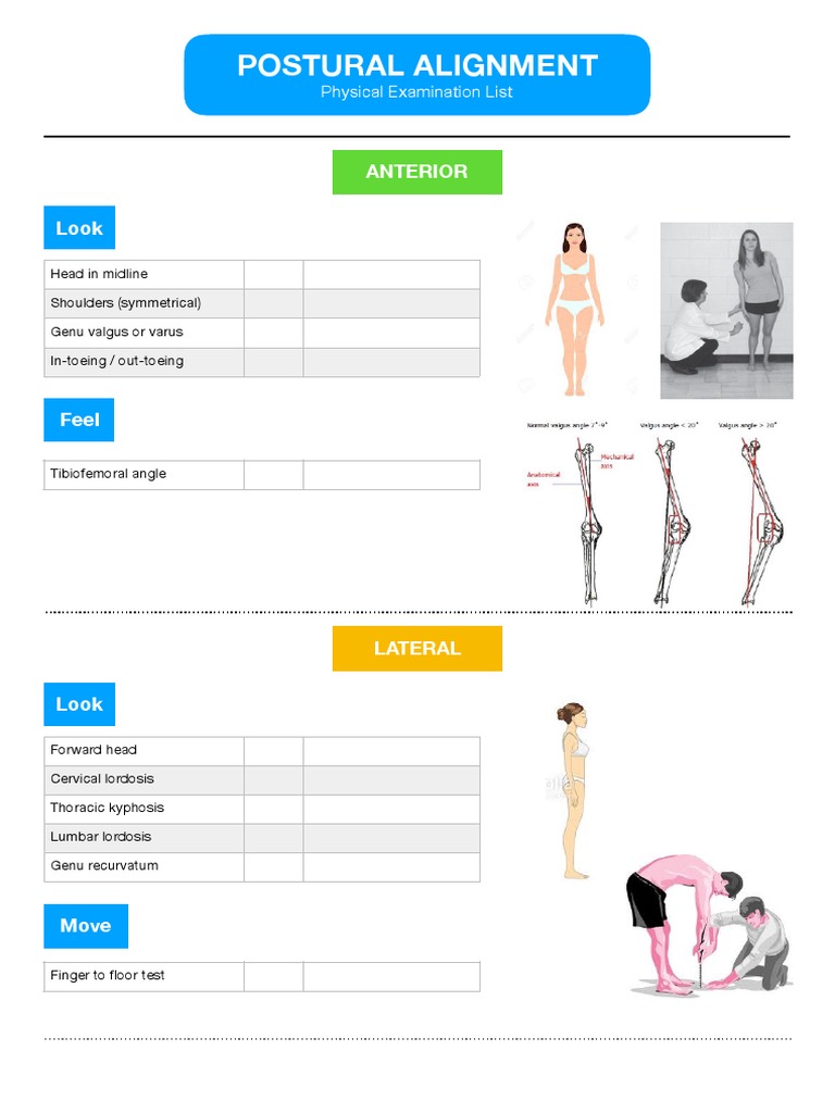 Postural Alignment | PDF