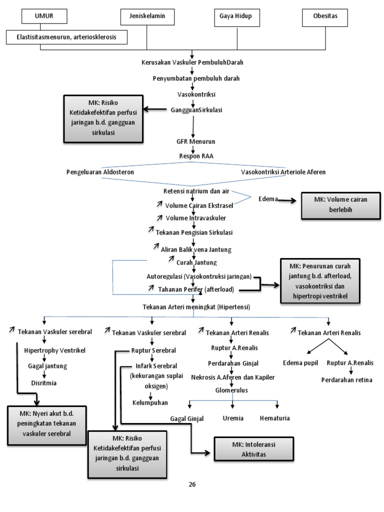 Woc Hipertensi Baru | PDF