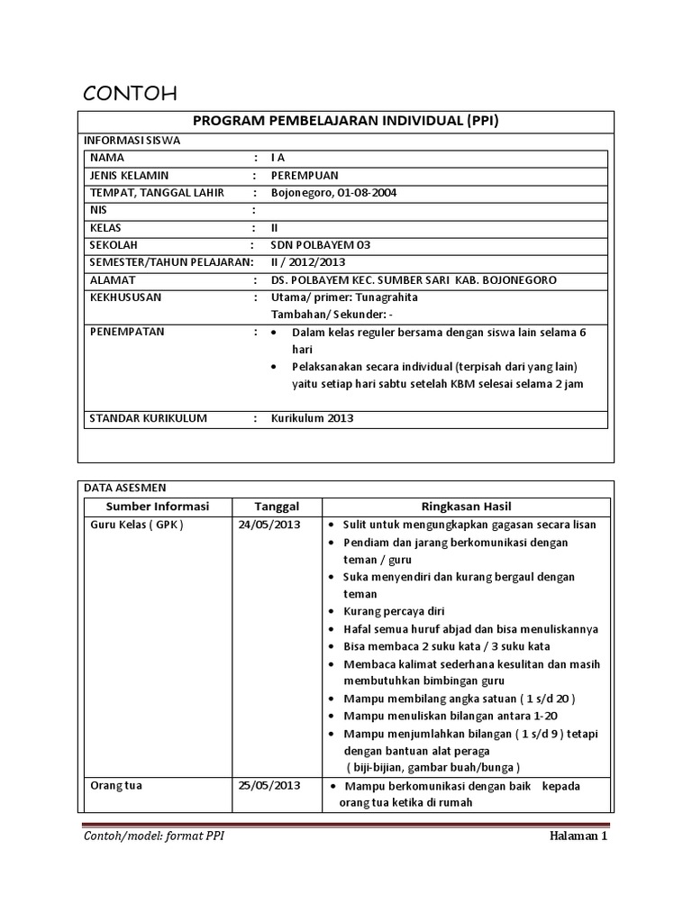Contoh Format PPI Anak Berkebutuhan Khusus | PDF