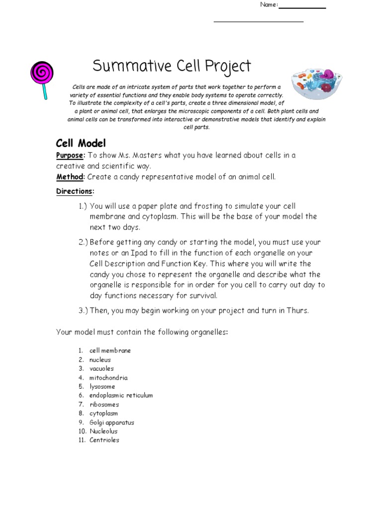 Candy Cell Project 3 Download Free Pdf Cytoplasm Endoplasmic Reticulum
