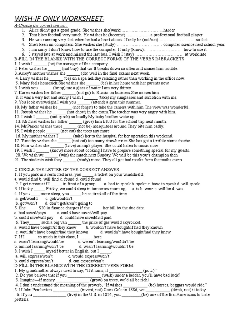 Wish If Only Worksheet | PDF