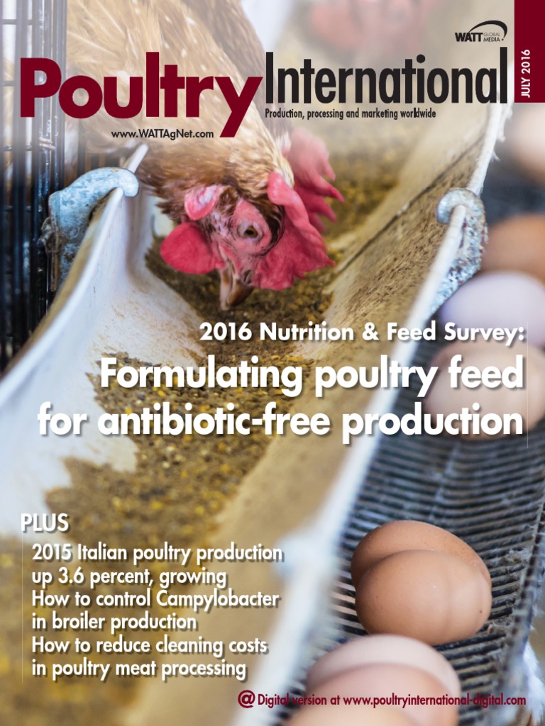 Poultry | PDF | Poultry Farming | Probiotic