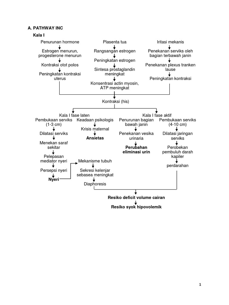 Mekanisme Persalinan dan Kontrasepsi | PDF