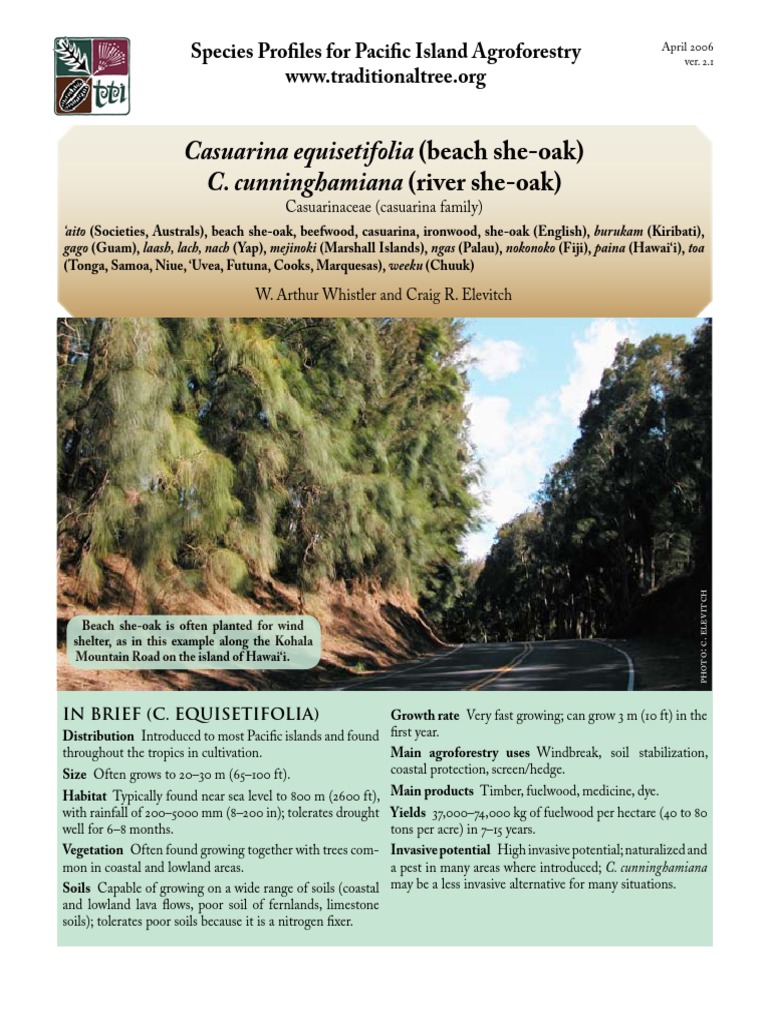 Casuarina PDF | PDF | Trees | Soil