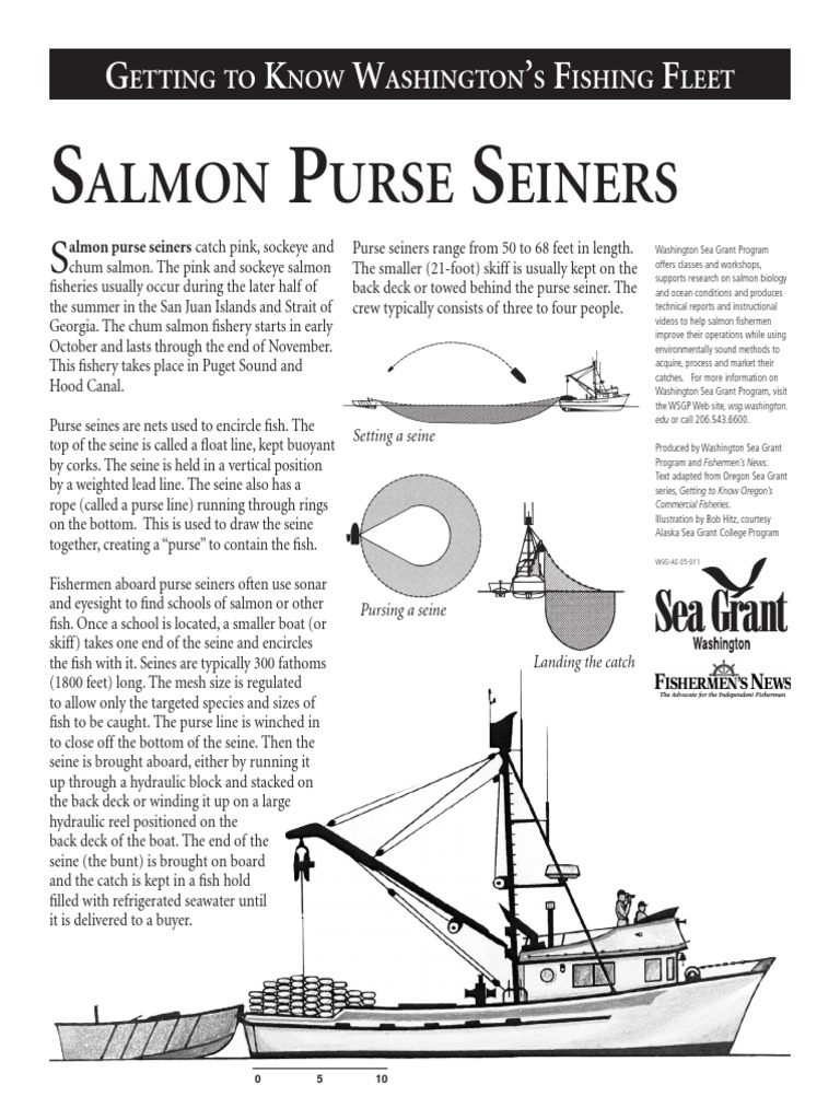 Salmon Purse Seiners | PDF | Salmon | Water Transport