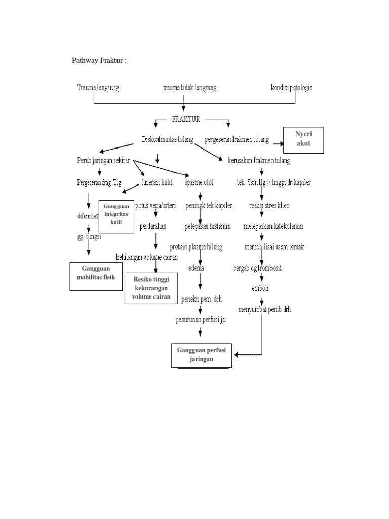 Pathway Fraktur | PDF