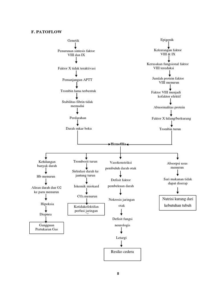 Hemofilia: Patofisiologi dan Manifestasi Klinis | PDF