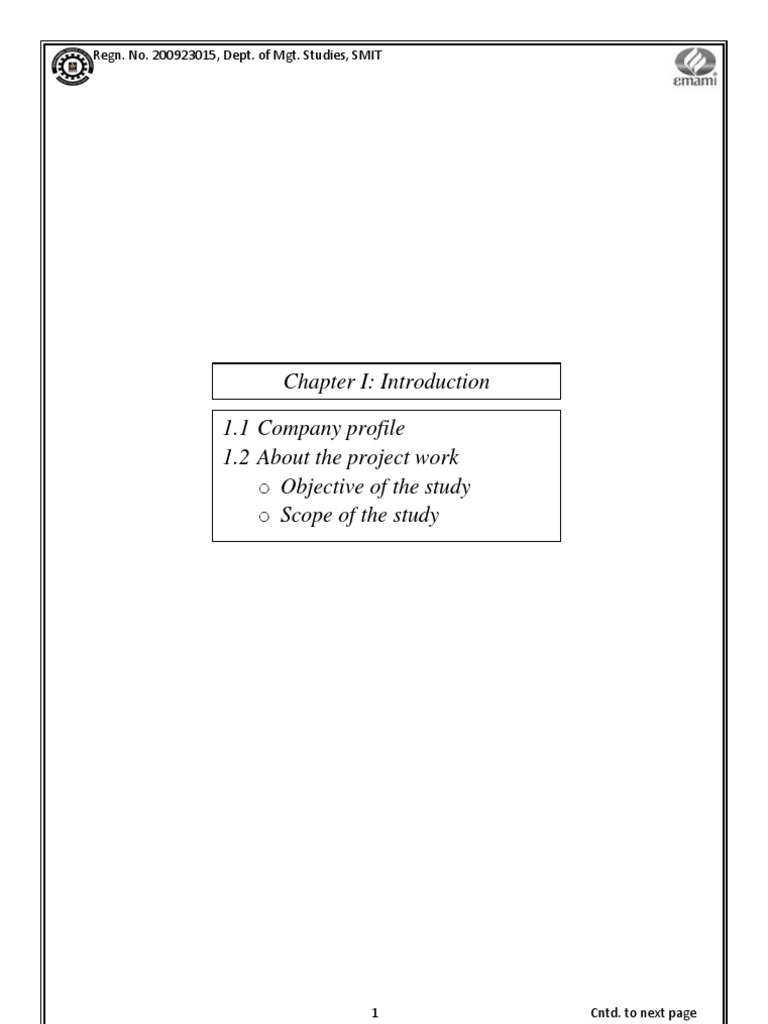 U&A Study For Henna - Emami Ltd. | PDF | Business