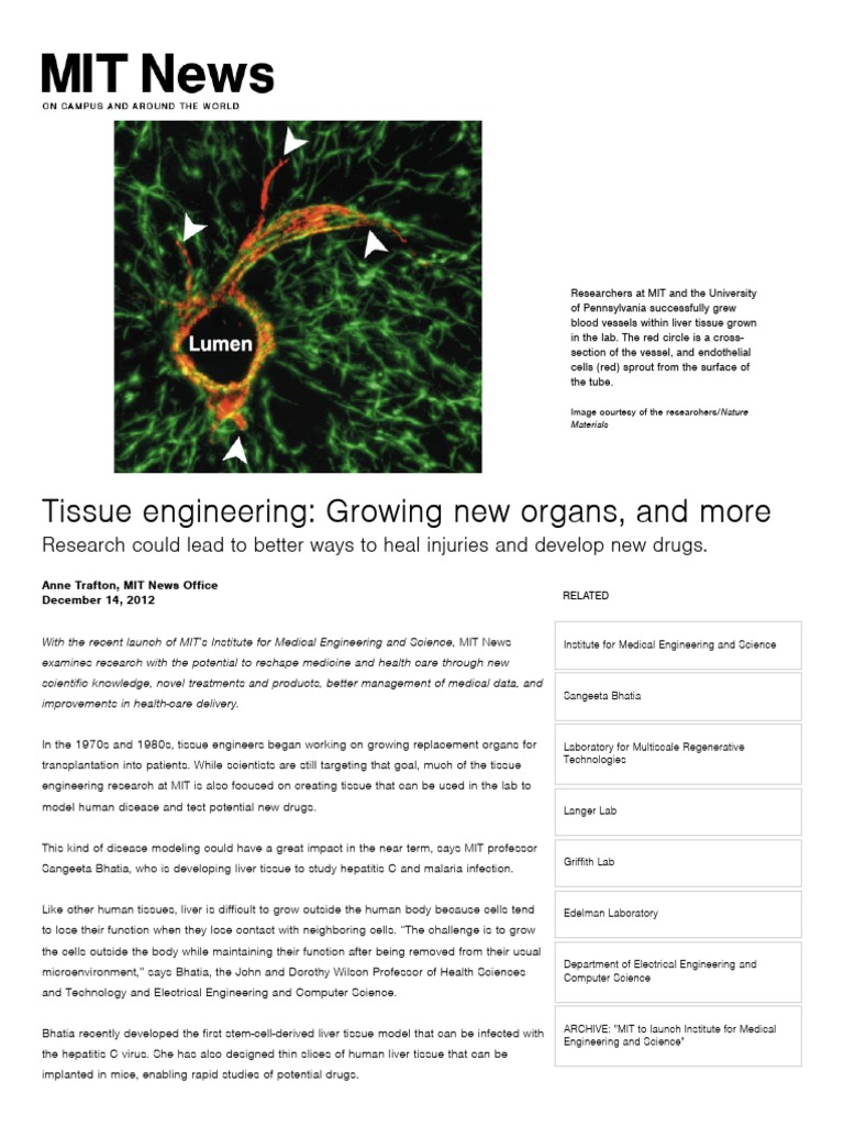Tissue Engineering Growing New Organs and More Mit News | PDF ...