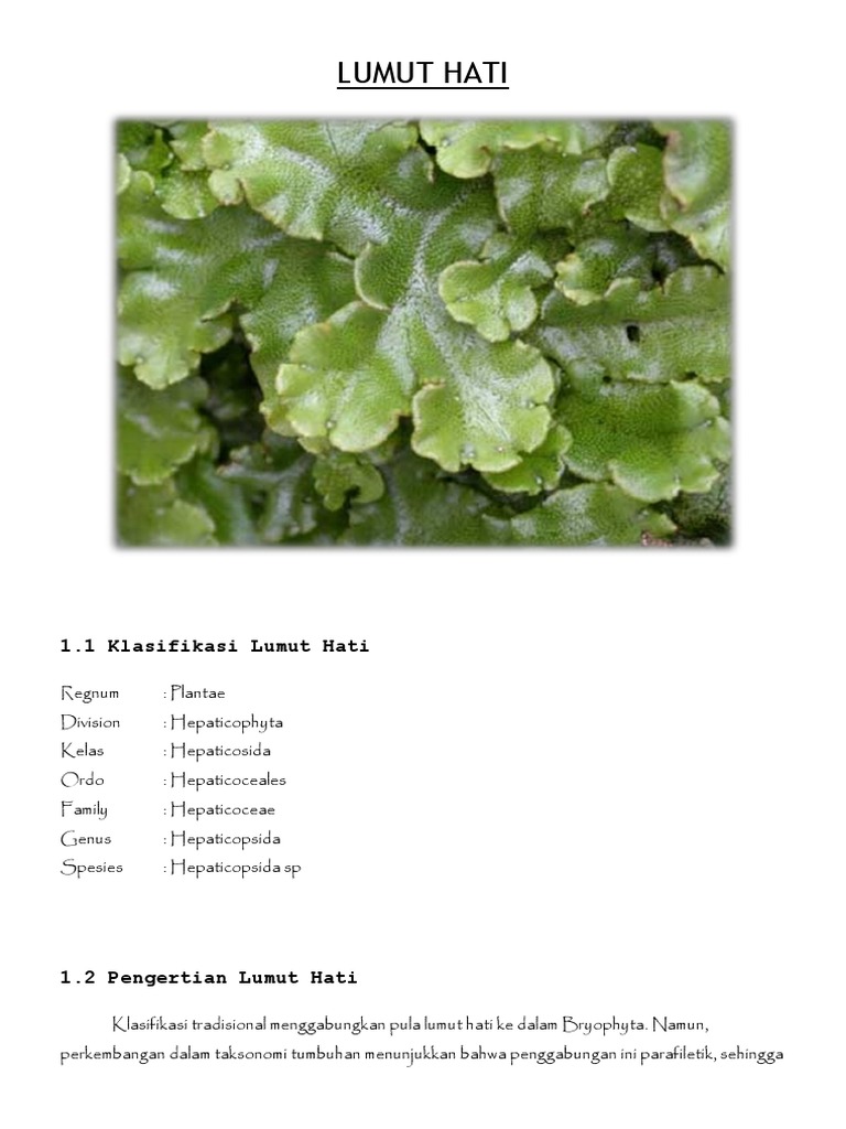 Lumut Hati | PDF | Griya & Taman | Sains & Matematika