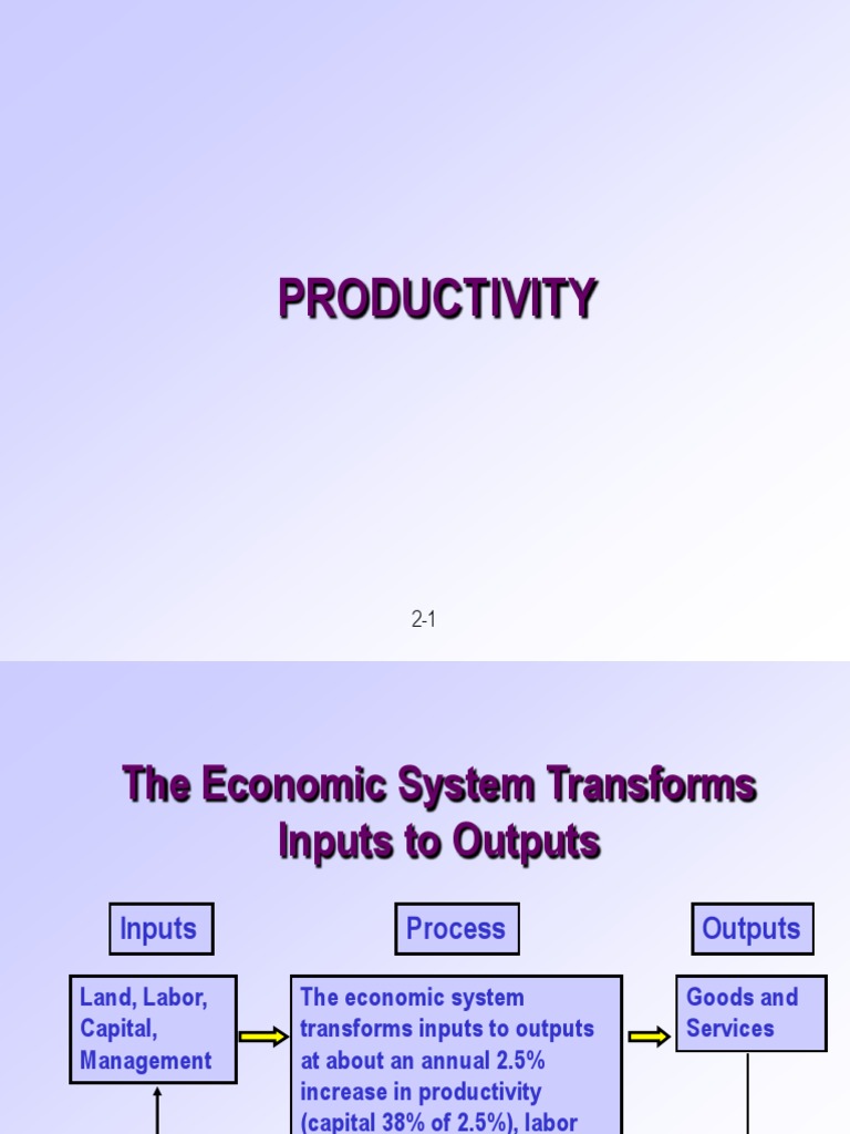 Productivity | PDF | Economics | Economies