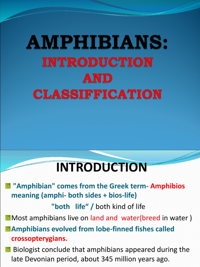 Classification of Amphibians | Amphibian | Frog